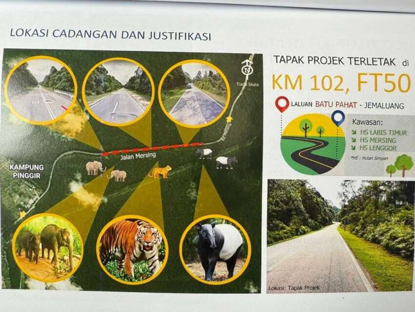 Johor to build its first wildlife crossing along Federal Route FT50 ...