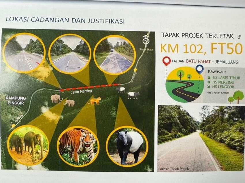Johor bina lintasan hidupan liar pertamanya di jalan utama FT50 – kos ...